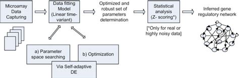 workflow of reverse engineering gene regulatory networks download scientific diagram