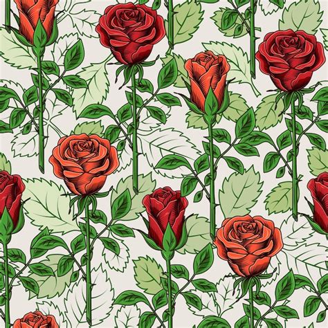 Vintage De Patrones Sin Fisuras Con Rosas Rojas Florecientes Vector