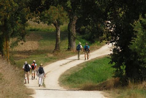 Cammino di Sant Antonio Tutto quello che c è da sapere Tesoro Turismo