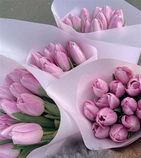 N On Twitter Flower Aesthetic Pretty Flowers Flower Therapy