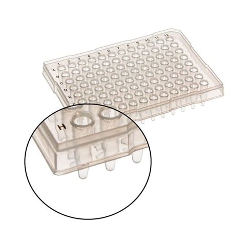 AmpliStar II Semi Skirted ABI Type 96 Well PCR Plate 10x10