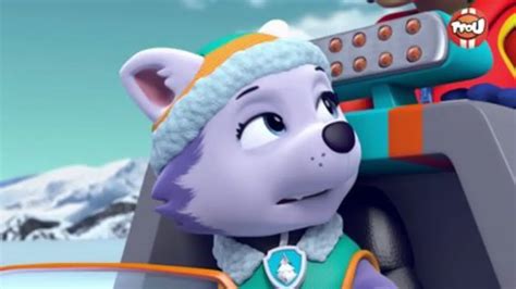 Replay TFou Du 24 10 2024 Paw Patrol La Pat Patrouille Mission Paw