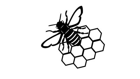Bee With Honey Comb Svg Or PNG Etsy