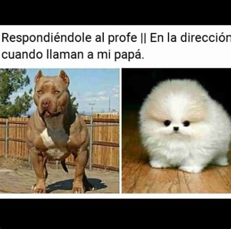 Cuando dices que estás gordo y nadie te contradice Memes