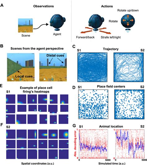 place cells dynamically refine grid cell activities to reduce error accumulation during path