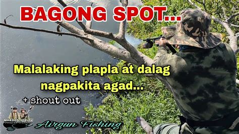 MALALAKING PLAPLA AT DALAG NAGPAKITA AGAD SA BAGONG SPOT AIRGUN FISH