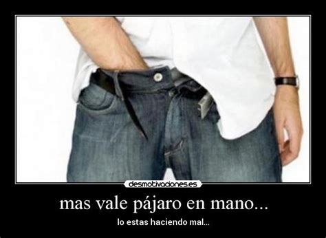 Mas Vale P Jaro En Mano Desmotivaciones