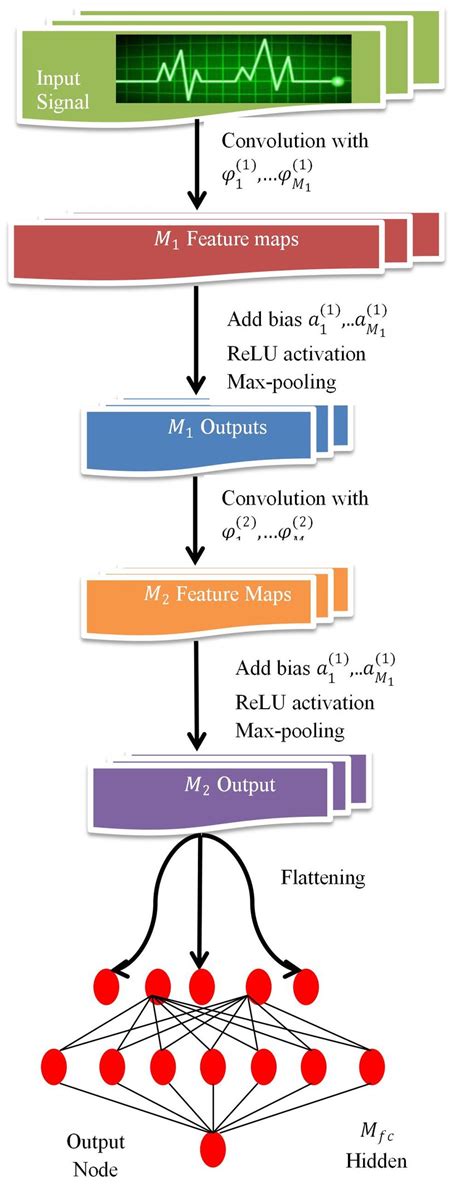 the proposed hybridized hierarchical convolutional neural network download scientific diagram