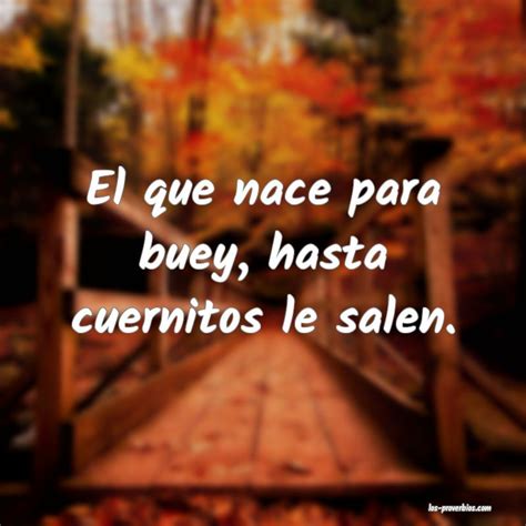El Que Nace Para Buey Hasta Cuernitos Le Salen