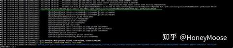 gitea 无法启动提示 code exited status 203 exec 错误 知乎