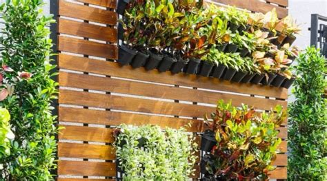 Cómo hacer un jardín vertical en tu casa Oriol Jardineria