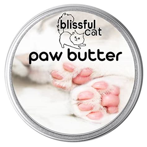 5 Best Cat Paw Moisturizers Top Choices For 2024