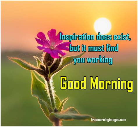 Top 999 Whatsapp Good Morning Images With Quotes Amazing Collection