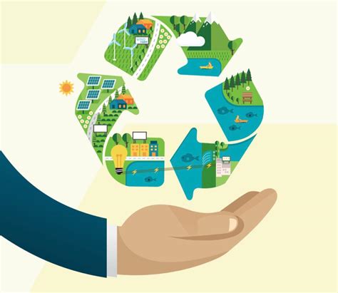 Compras públicas sostenibles cuidar el medio ambiente desde las