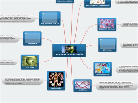 LAS RAMAS DE LA BIOLOGÍA Mind Map