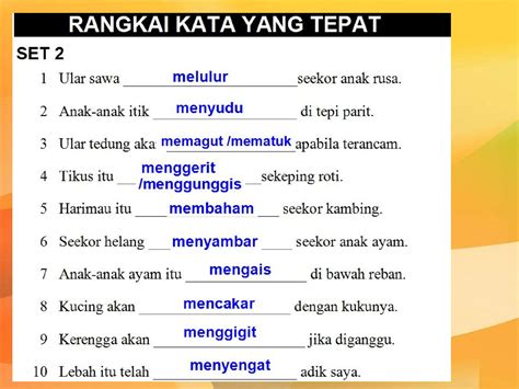 Inilah Contoh Kosa Kata Ayat Terlengkap