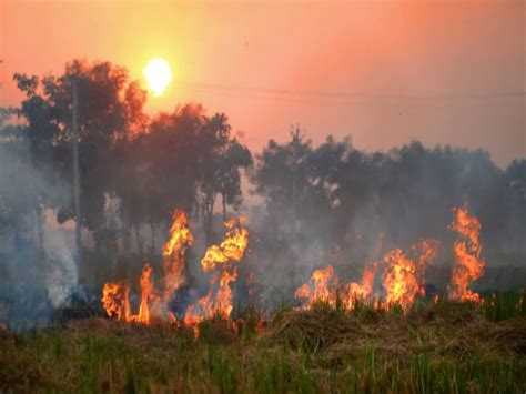 Fires In The Fields Must Stop We Should Not Be Blamed For Pollution