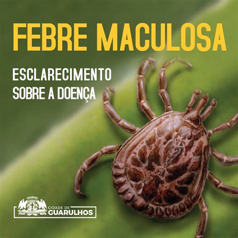 Guarulhos não registra casos de febre maculosa afirma Secretaria de