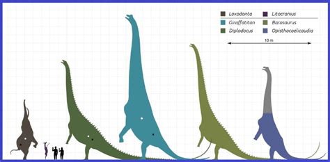 The Biggest Titanosaurus Fossil Discovered Leakshare