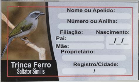 Placa de identificação