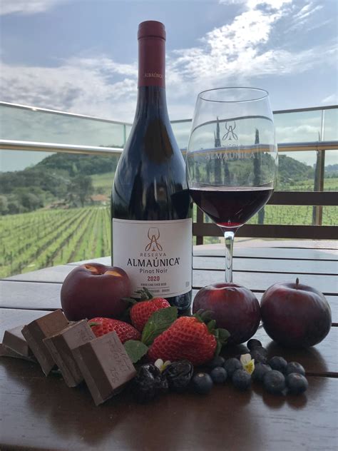 Vin Cola Alma Nica Lan A Pinot Noir Safra Vale Dos Vinhedos