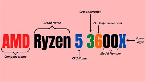 AMD CPU Naming Scheme Explained A Quick And Easy Guide The World S