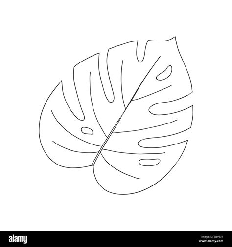 Printable Monstera Leaf Outline Prntbl Concejomunicipaldechinu Gov Co