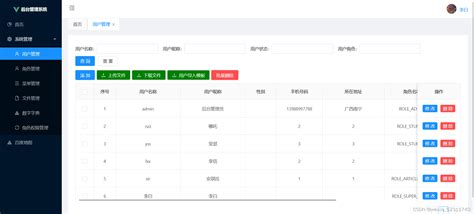 springboot加vue后台管理系统 csdn博客