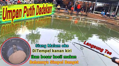 Nyoss Banget Umpan Putih Dadakan Gacor Yang Simpel Dan Mudah Dibuat
