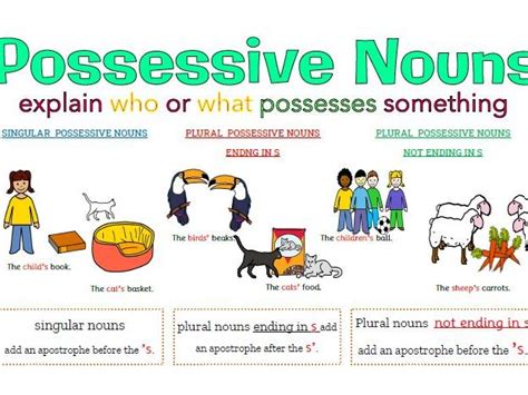 Possessive Nouns Teaching Resources