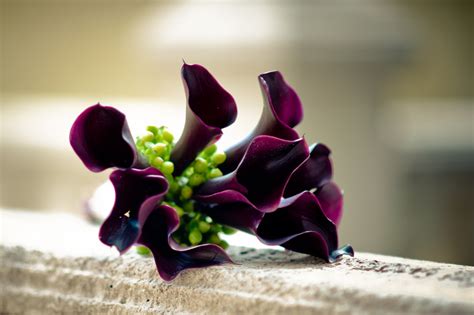 Sherry Ferrante Photography Weddings