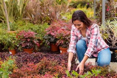 Les Meilleures Plantes Couvre Sol Les Stars Du Jardin Qui Repoussent