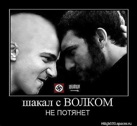 Ответы Mail ru йоой кто кого Шмаузеры вы за кого в любом случаи я