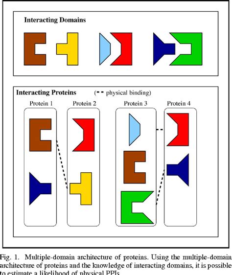 figure 1 from belief propagation estimation of protein and domain interactions using the sum