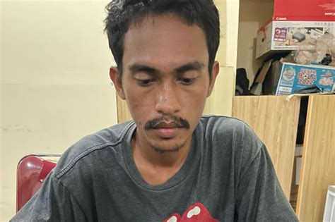 Polda Malut Tangkap Dua Pelaku Penyalahgunaan Narkoba ANTARA News