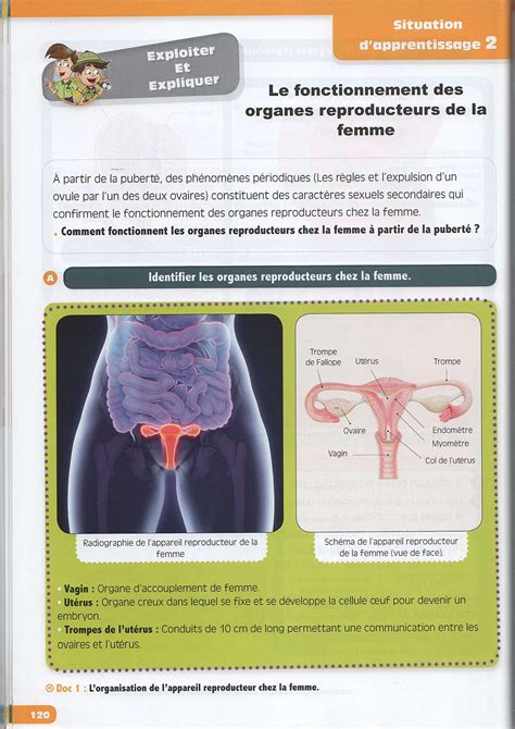 La Reproduction Humaine Cours Manuel Alloschool