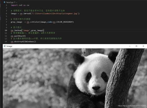 python系列之一：opencv读取本地图片并转为灰度图片 python opencv 文件夹中的图片转灰度图 csdn博客