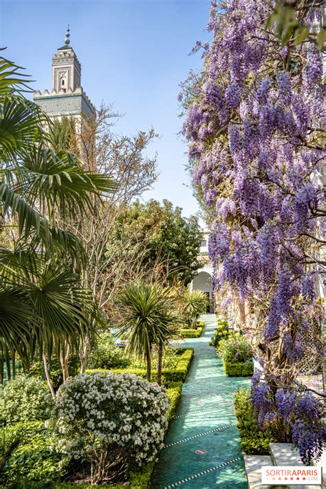 The Grande Mosquée de Paris and its oriental garden Sortiraparis
