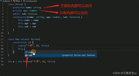 ts定义类 ts定义类成员变量 csdn博客