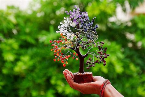 Árbol de dinero de bonsái de la fortuna de cristal curativo natural de