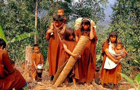 Cultura de los Asháninka en Perú Blog Viagens Machu Picchu
