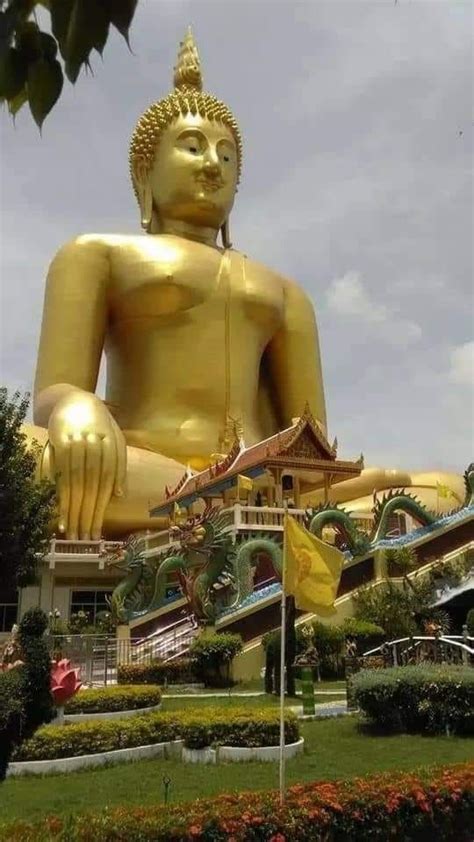 Ghim của NGBACH trên Reflexión meditación