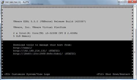 Access ESXi Host Direct Console User Interface DCUI Using SSH
