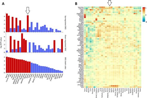 Enrichment In DEG Sets Analysis Of Condition Specific Differentially