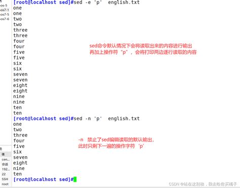 linux文本三剑客之sed流编辑器 csdn博客