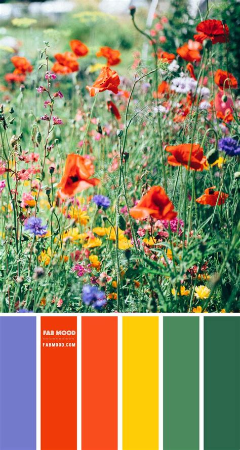 Blue Bright Orange Green And Yellow Colour Combo Colour Palette 95
