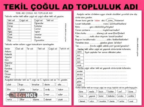 Tekil Ad Çoğul Ad Topluluk Adı Eduhol Etkinlik İndir Oyun Oyna