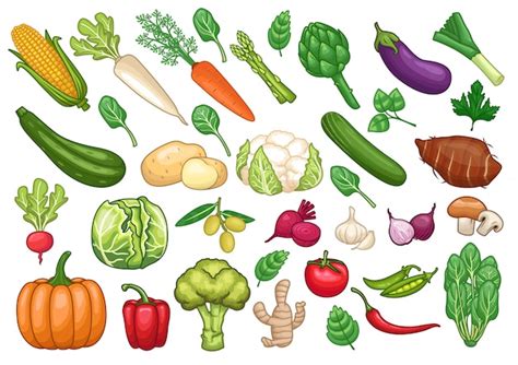 Stock vector conjunto de verduras ilustración objeto gráfico Vector