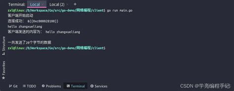 golang net包tcp网络编程代码示例：发送 接收数据 golang教程网
