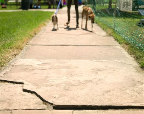 An In Depth Understanding Of Why Concrete Cracks And The Types Of